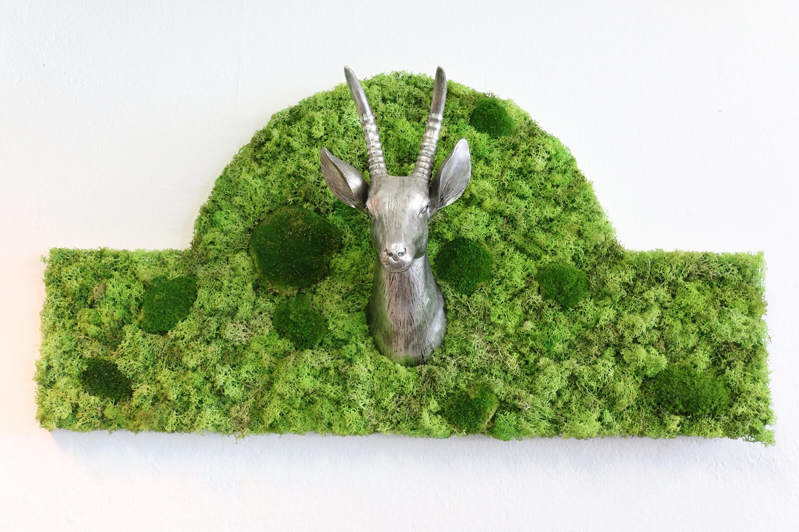 Echte Moos-Bilder für Innenräume im Trend | SCHACHERMAYER ® [AT]